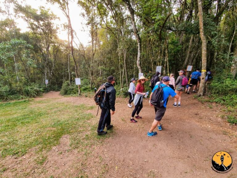 Morro do Cal, trilha em Campo Largo no Paraná - Viajando de Mochila